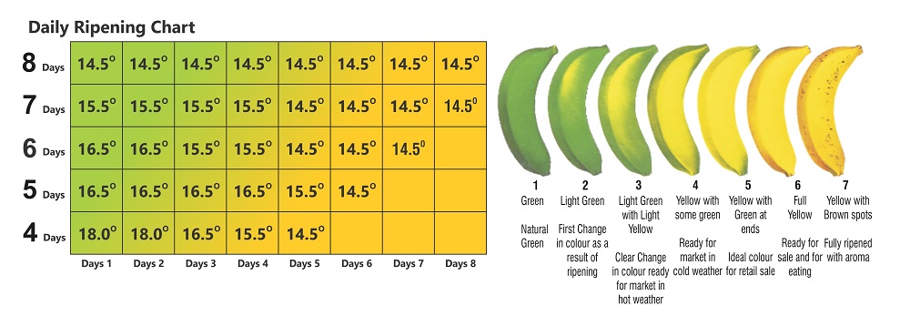 Fruit Ripening Chamber - Bharat Refrigeration